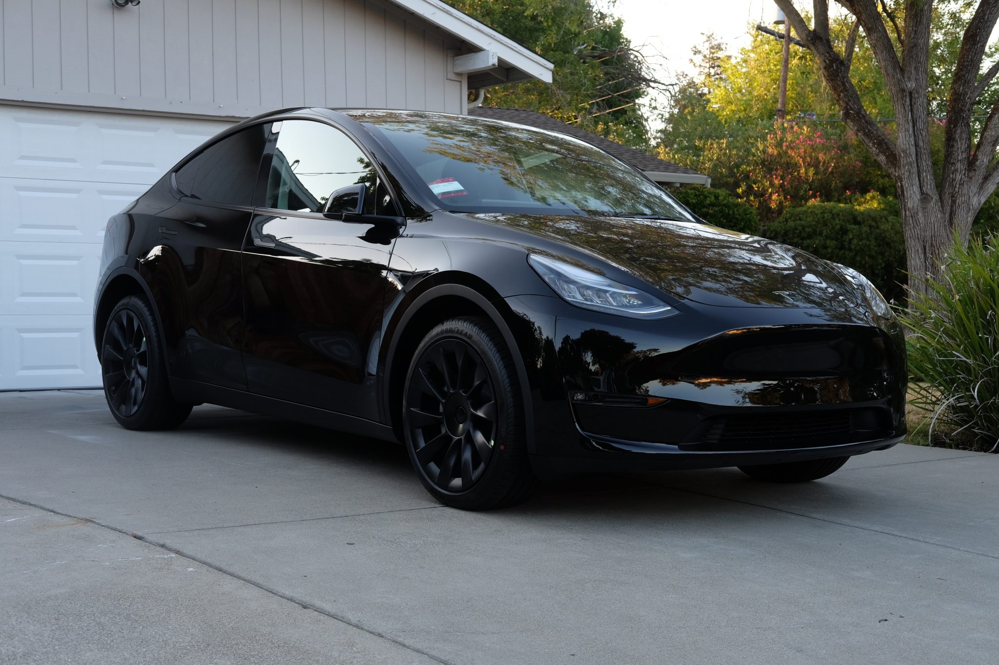 Black model y store