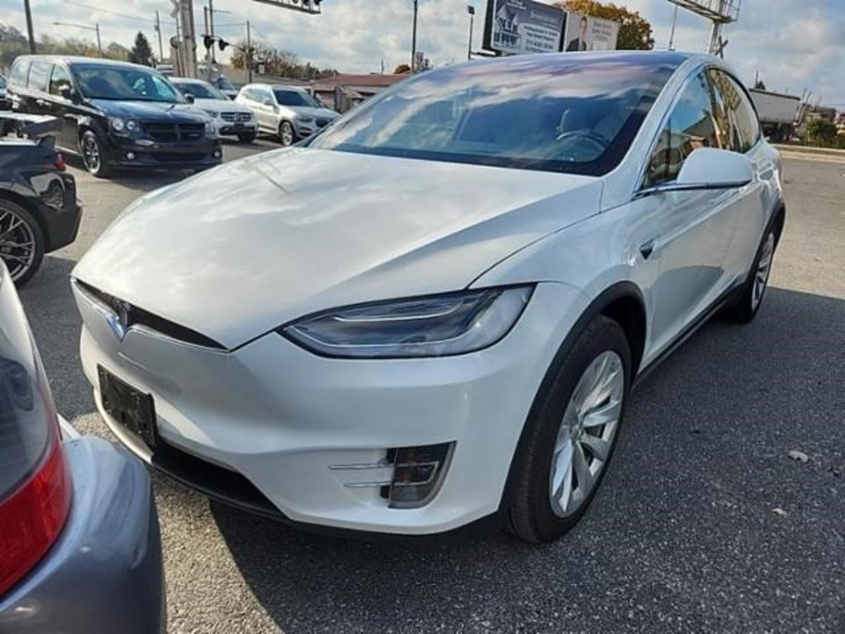 2020 Model X Long Range Plus Pearl White Multi Coat